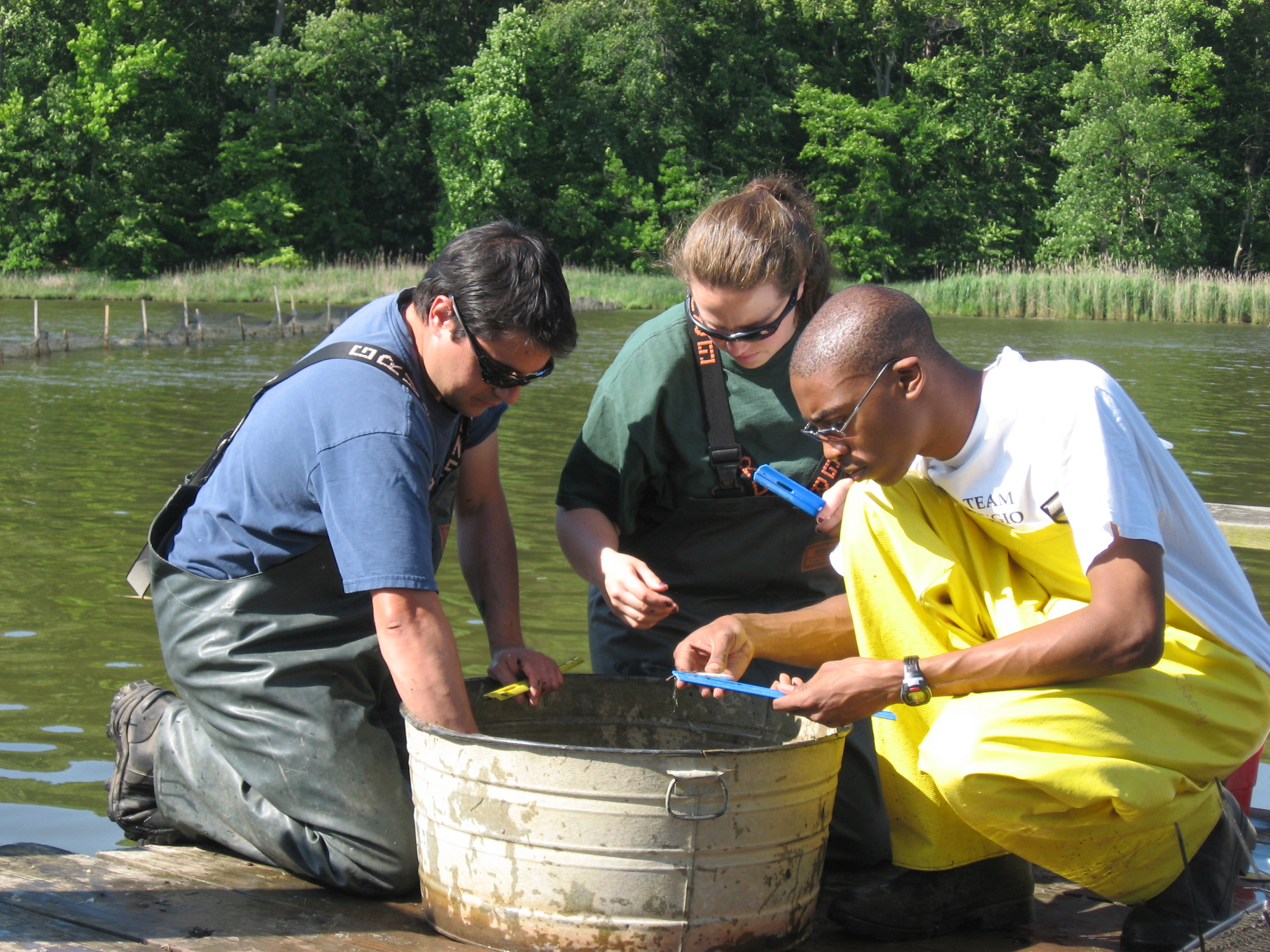 Fish sampling | Smithsonian Environmental Research Center Fish sampling | Smithsonian Environmental Research Center